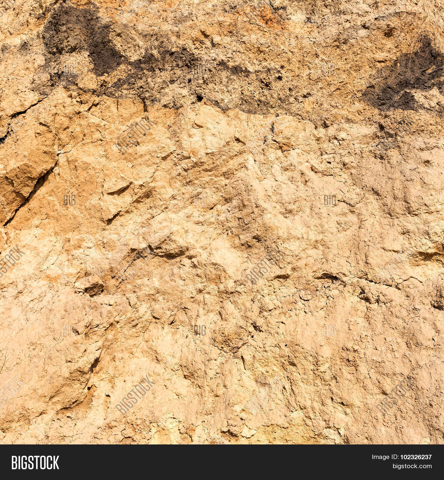 Seamless Texture - Image & Photo (Free Trial) | Bigstock