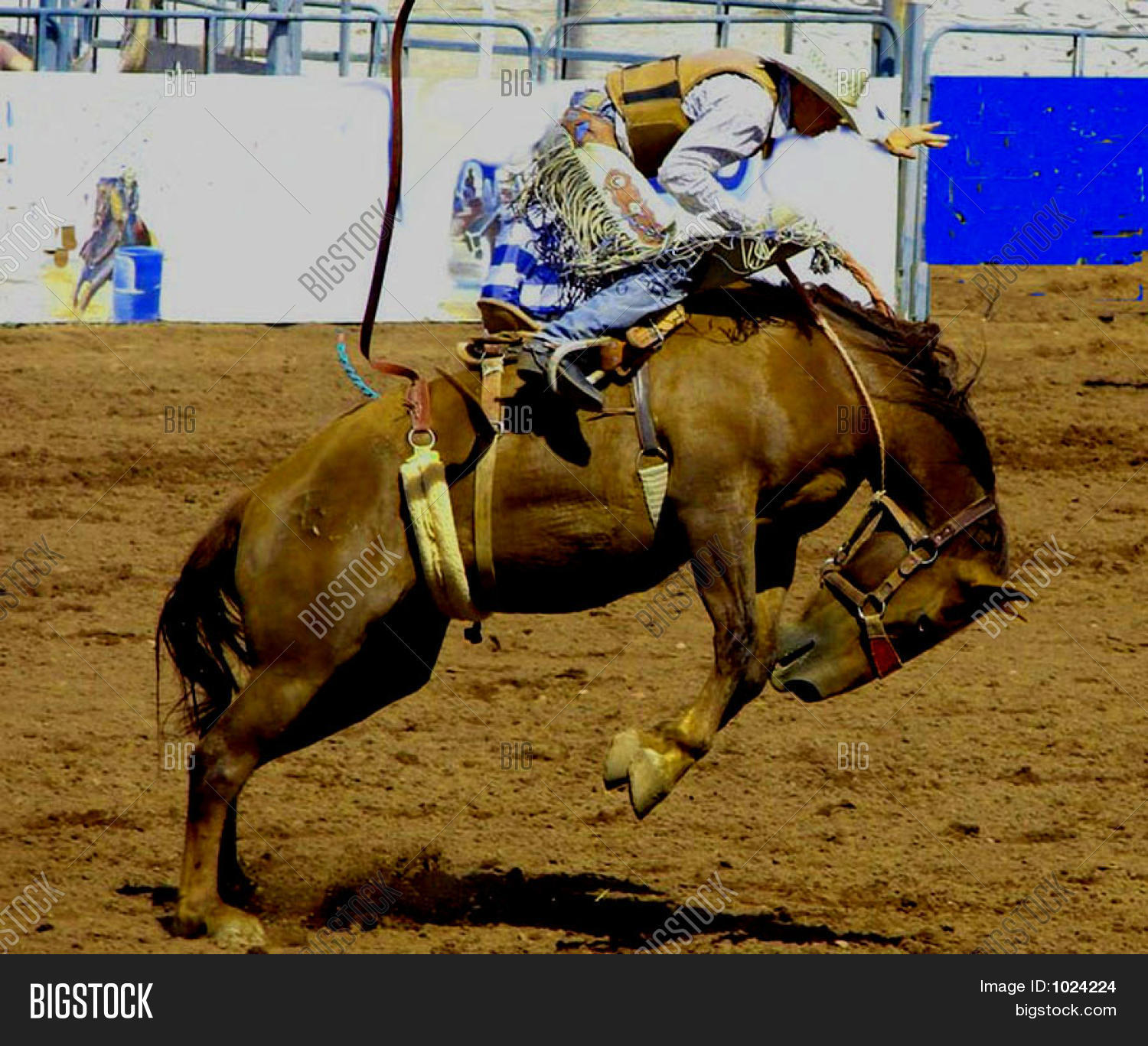 Broncrider2 Image & Photo (Free Trial) | Bigstock