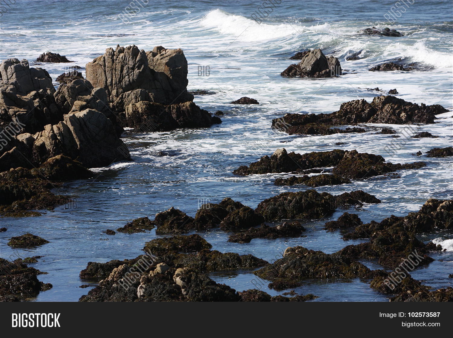Tide Pools Low Tide Image & Photo (Free Trial) | Bigstock