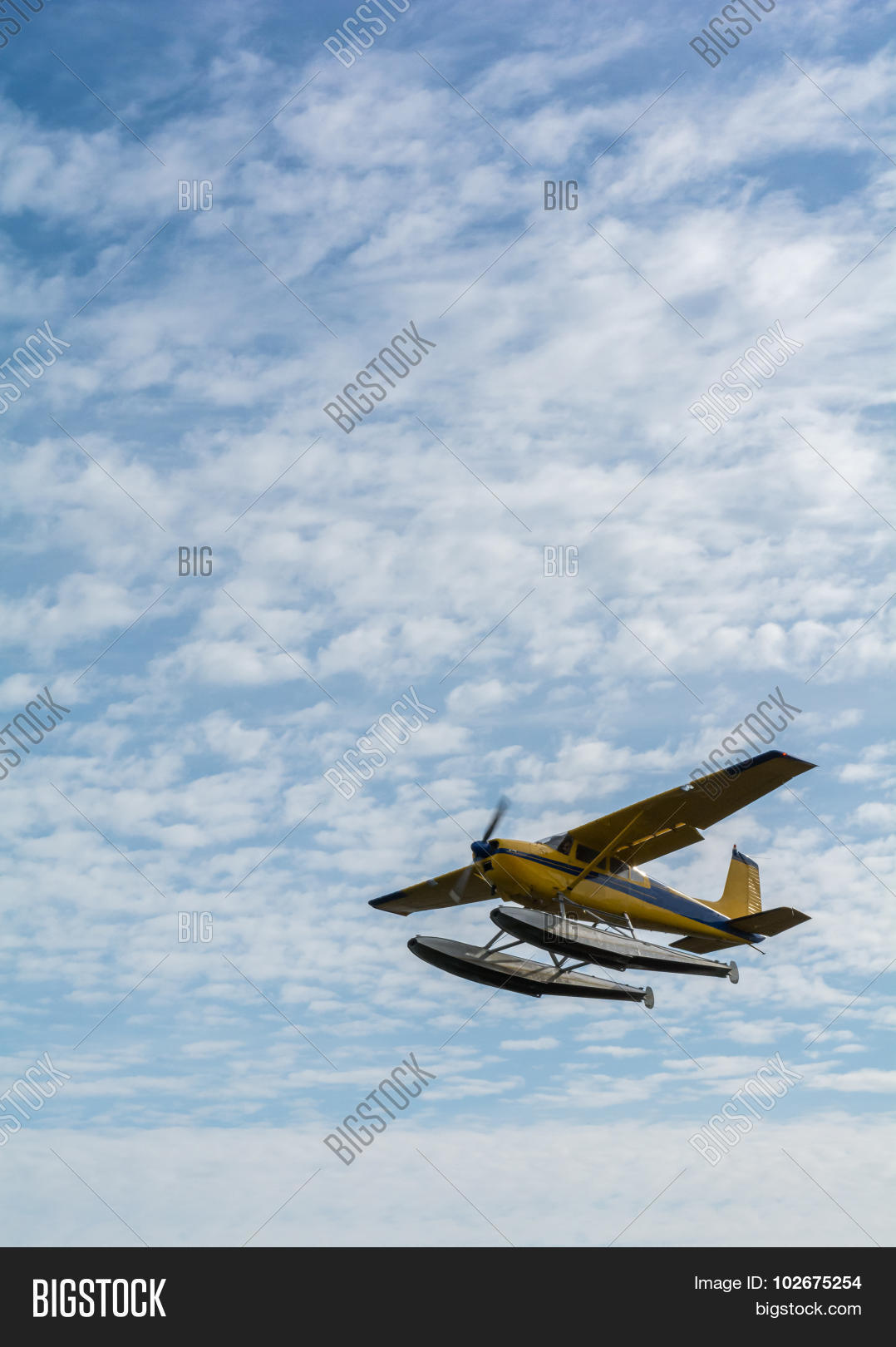 Yellow Sea Plane Image & Photo (Free Trial) | Bigstock