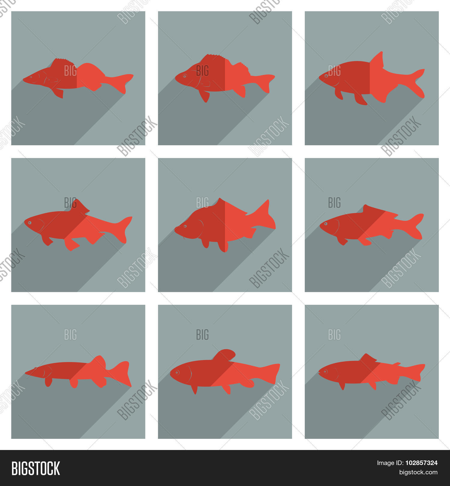 Set Freshwater Fish Vector & Photo (Free Trial) | Bigstock