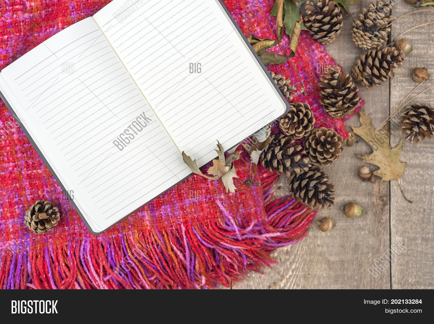 Open Journal Blank Image & Photo (Free Trial) | Bigstock