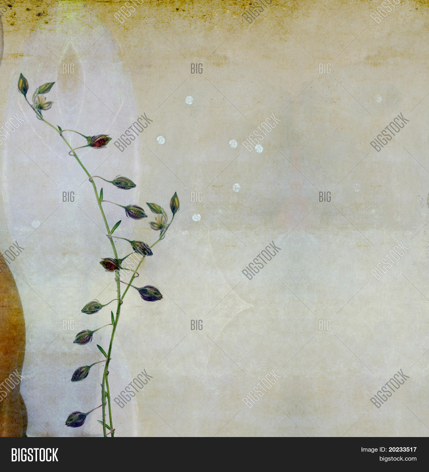 Original Background Image & Photo (Free Trial) | Bigstock