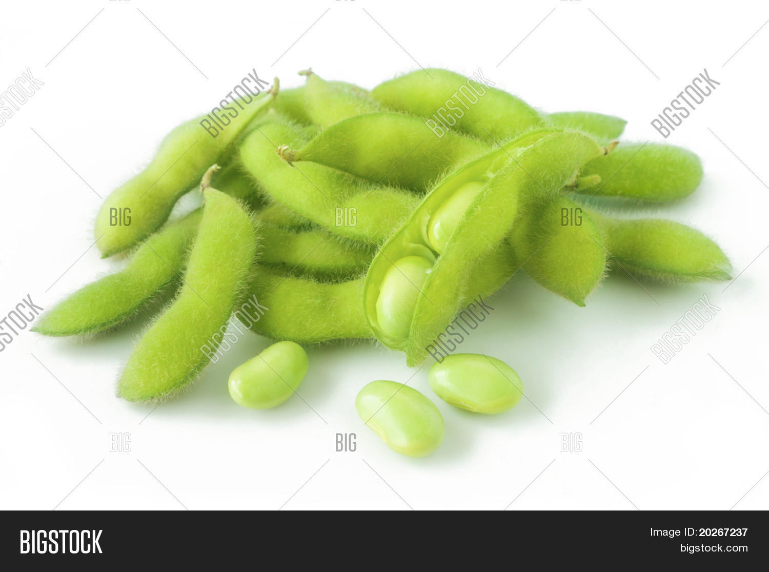 Soybean Isolated On Image & Photo (Free Trial) | Bigstock