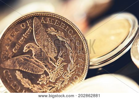 American Quarter Image & Photo (Free Trial) | Bigstock