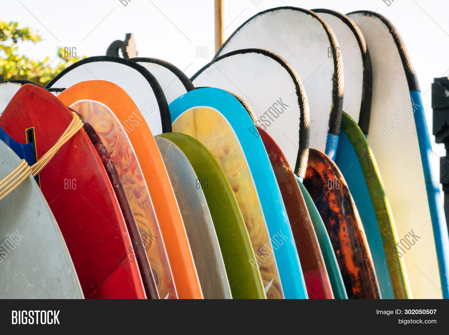 Set Colorful Surfboard Image & Photo (Free Trial) | Bigstock