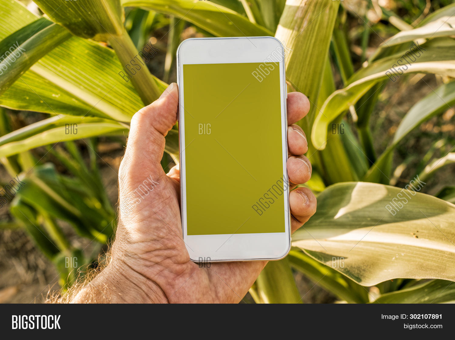 Agritech Smart Farming Image & Photo (Free Trial) | Bigstock