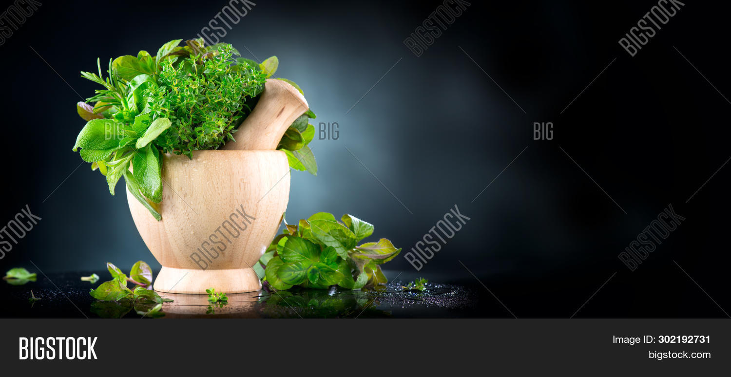 Herbs. Bunch Fresh Image & Photo (Free Trial) | Bigstock