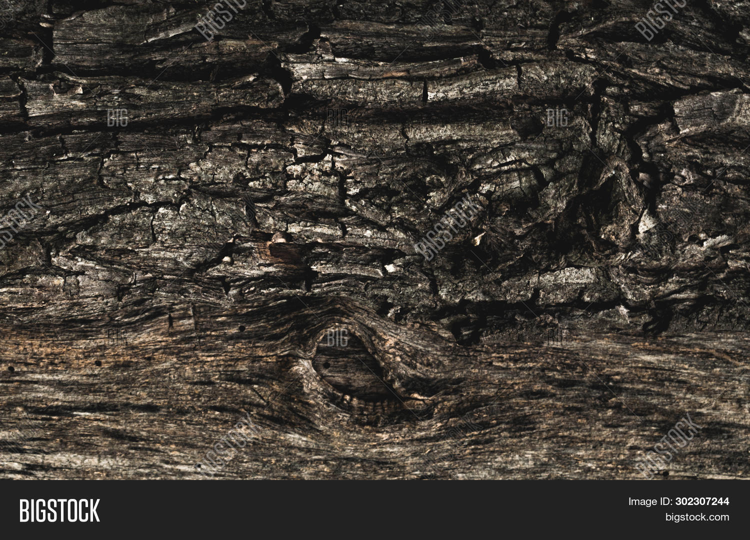 Texture Dark Old Logs Image & Photo (Free Trial) | Bigstock