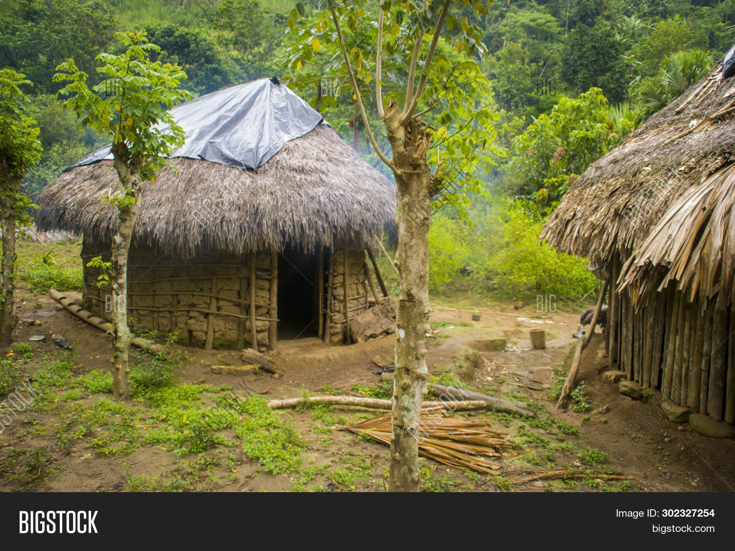 Imagen y foto Indigenous (prueba gratis) | Bigstock