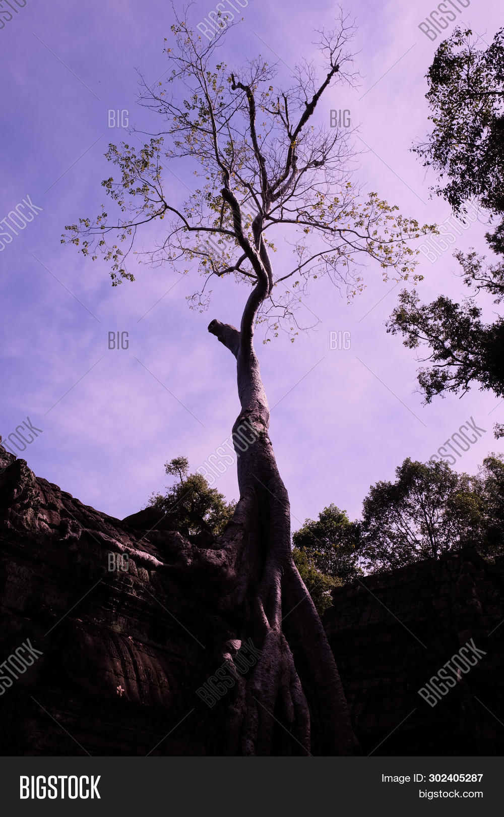 Ancient Building Image & Photo (Free Trial) | Bigstock