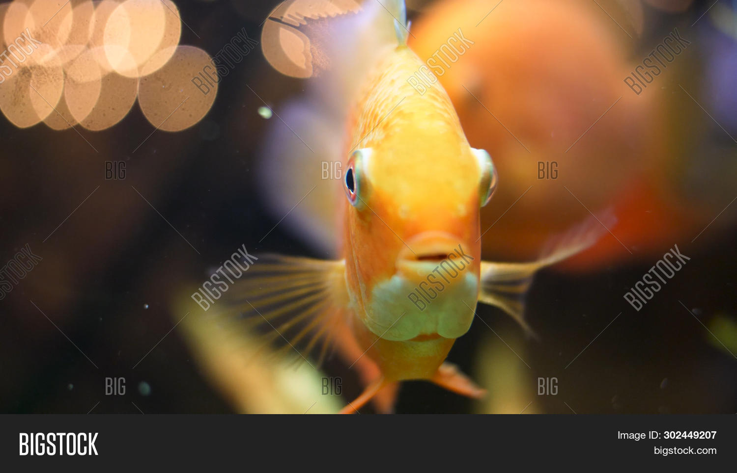 Side View Unique Image & Photo (Free Trial) | Bigstock