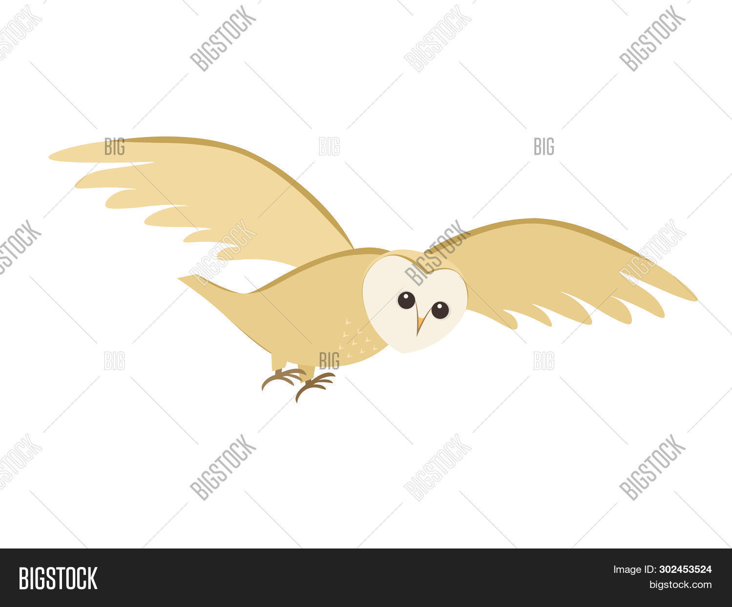 Cartoon Barn Owl. Image & Photo (Free Trial) | Bigstock