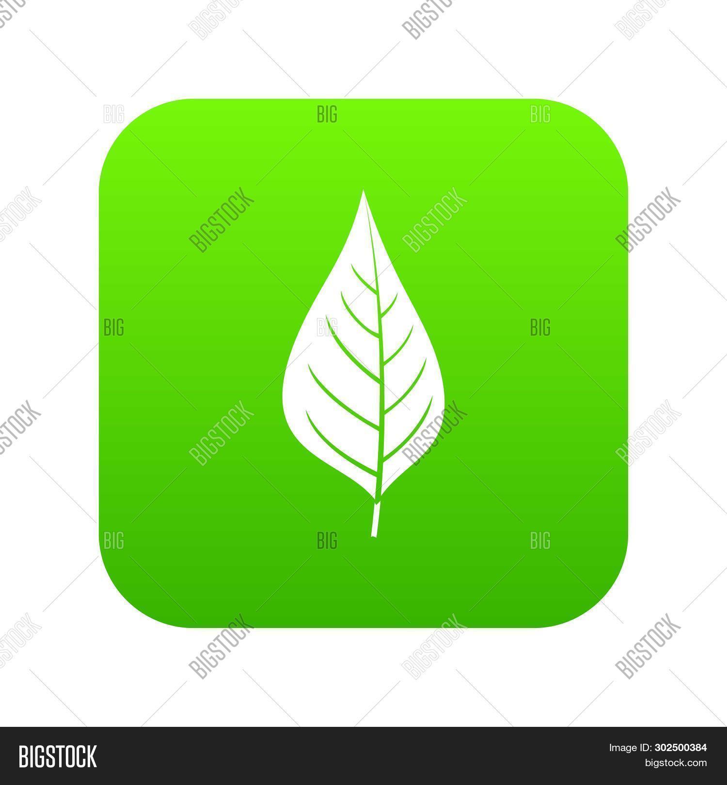 Apple Tree Leaf Icon Image & Photo (Free Trial) | Bigstock