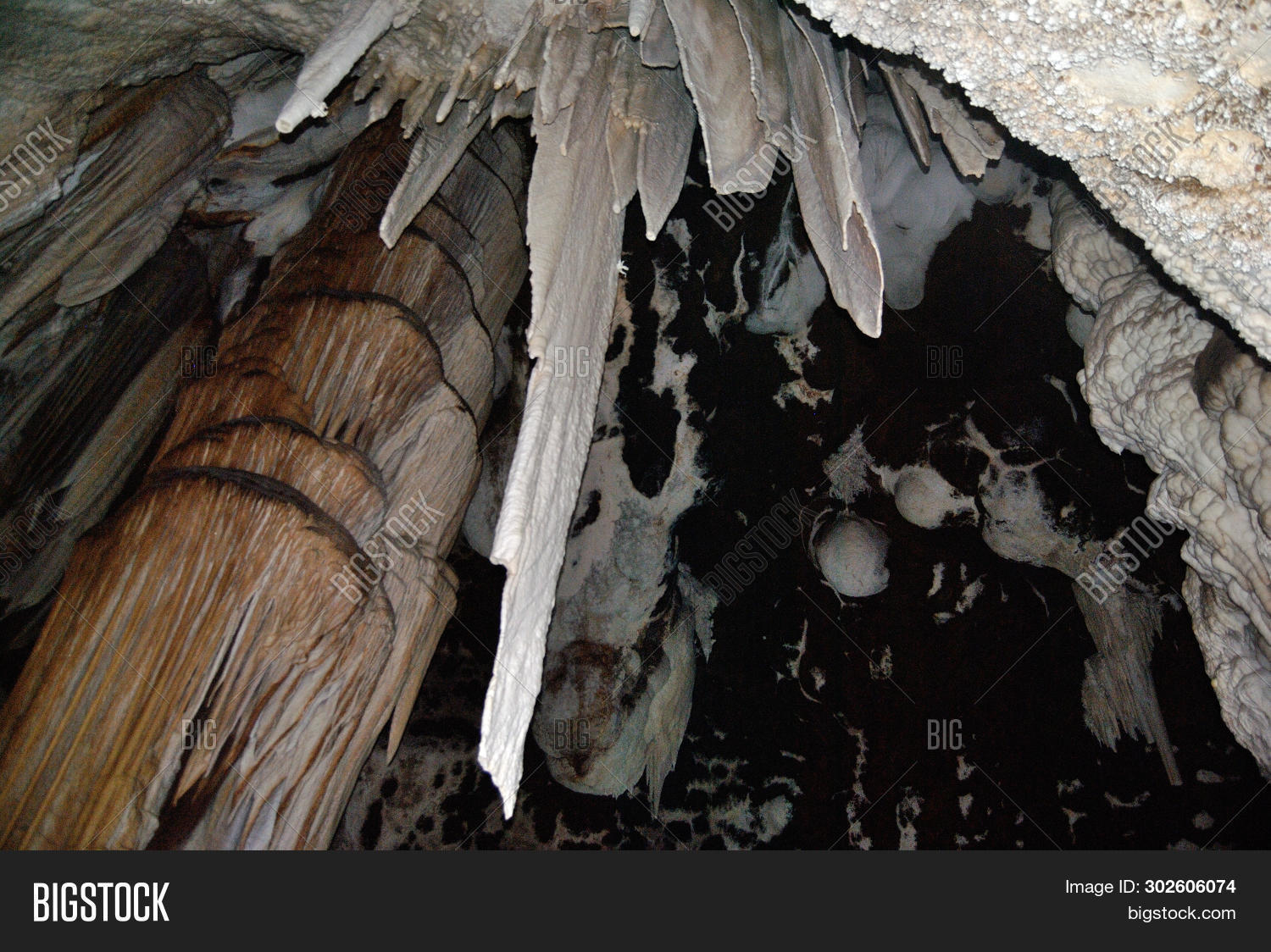 Internal View S. Image & Photo (Free Trial) | Bigstock