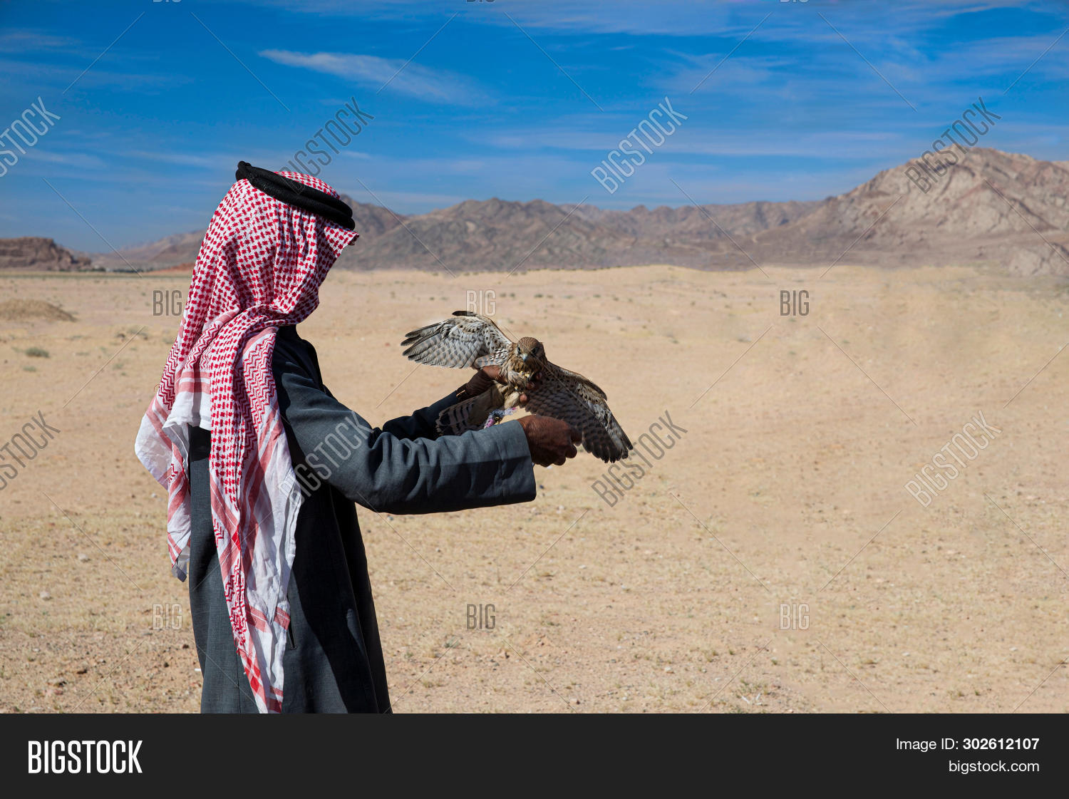 Arab Hunter Falcon His Image & Photo (Free Trial) | Bigstock