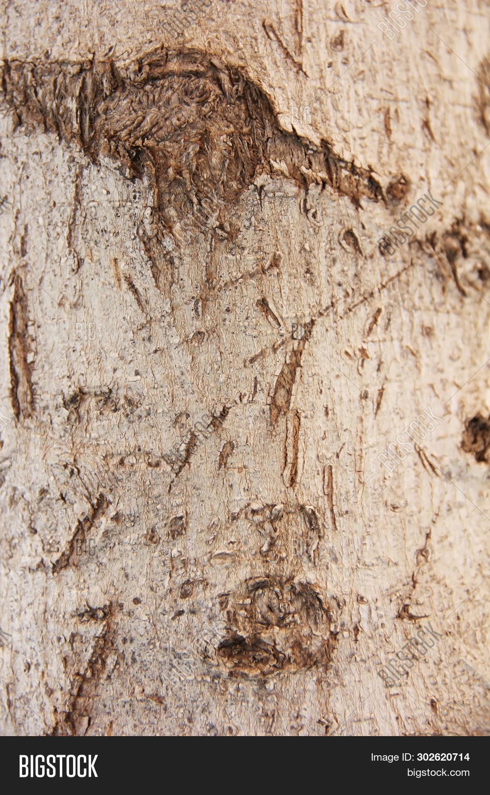 Texture Surface Old Image & Photo (Free Trial) | Bigstock