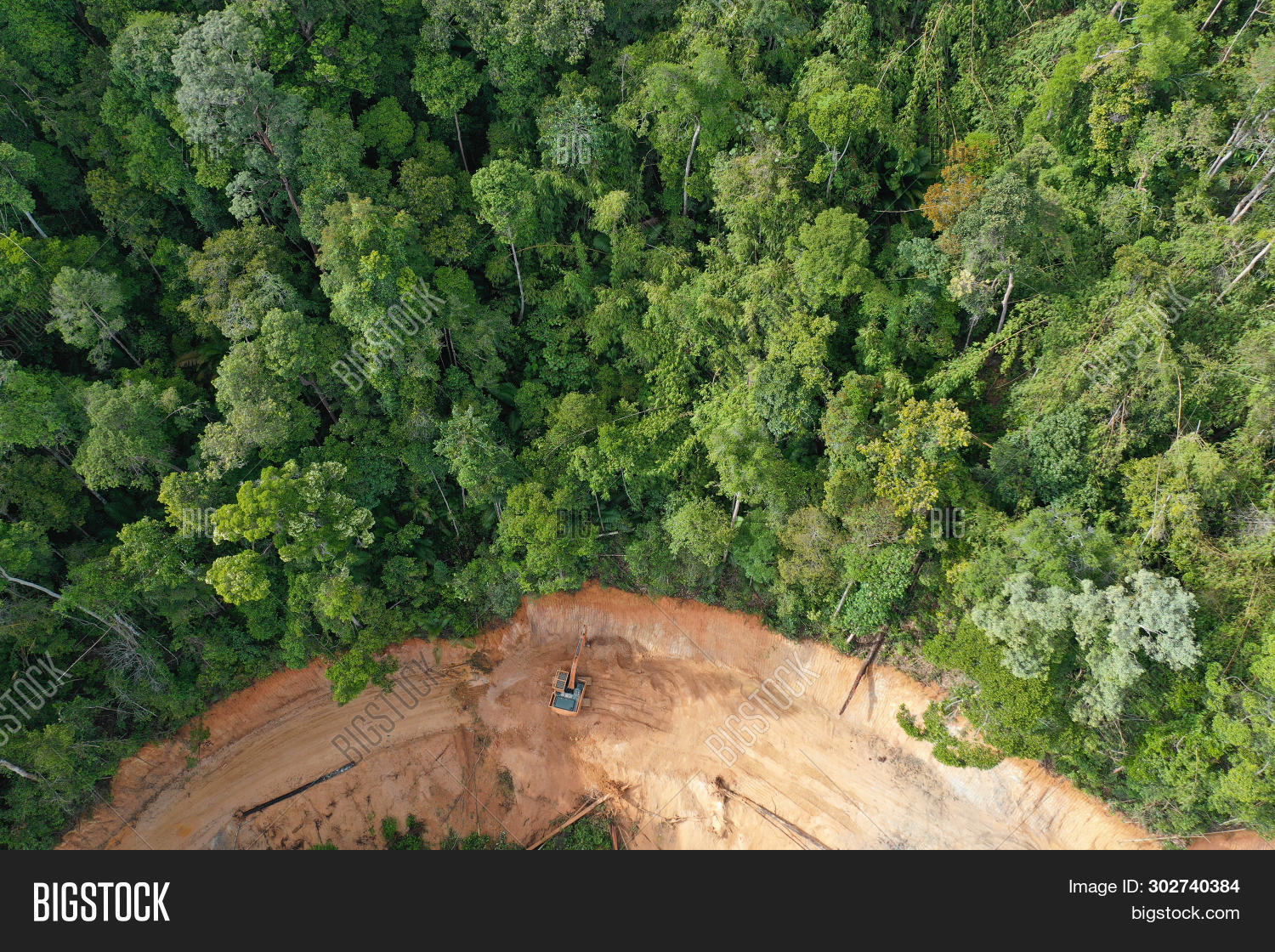 Deforestation. Logging Image & Photo (Free Trial) | Bigstock