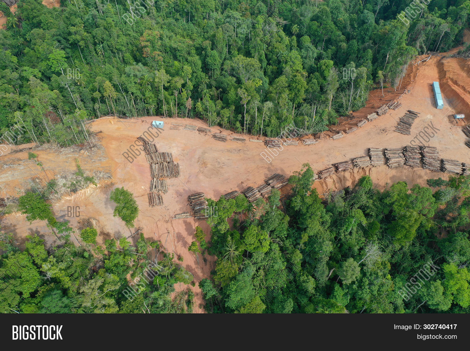 Deforestation. Logging Image & Photo (Free Trial) | Bigstock
