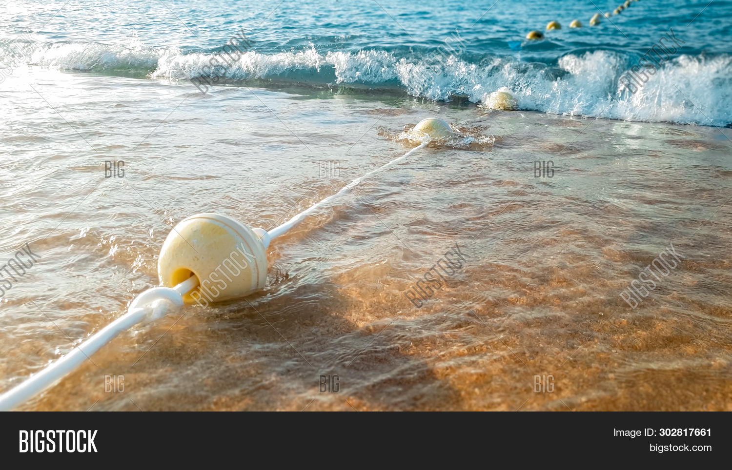 Closeup Beautiful Image & Photo (Free Trial) | Bigstock