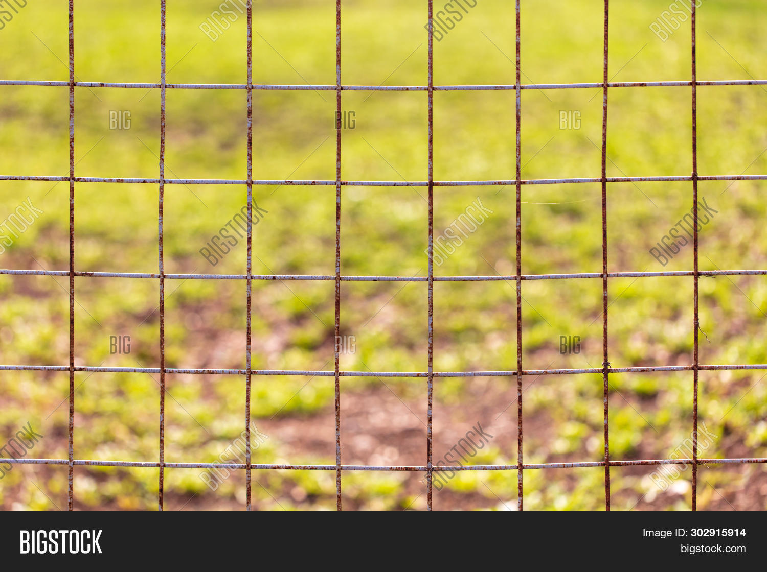 Rusty Metal Grid On Image & Photo (Free Trial) | Bigstock