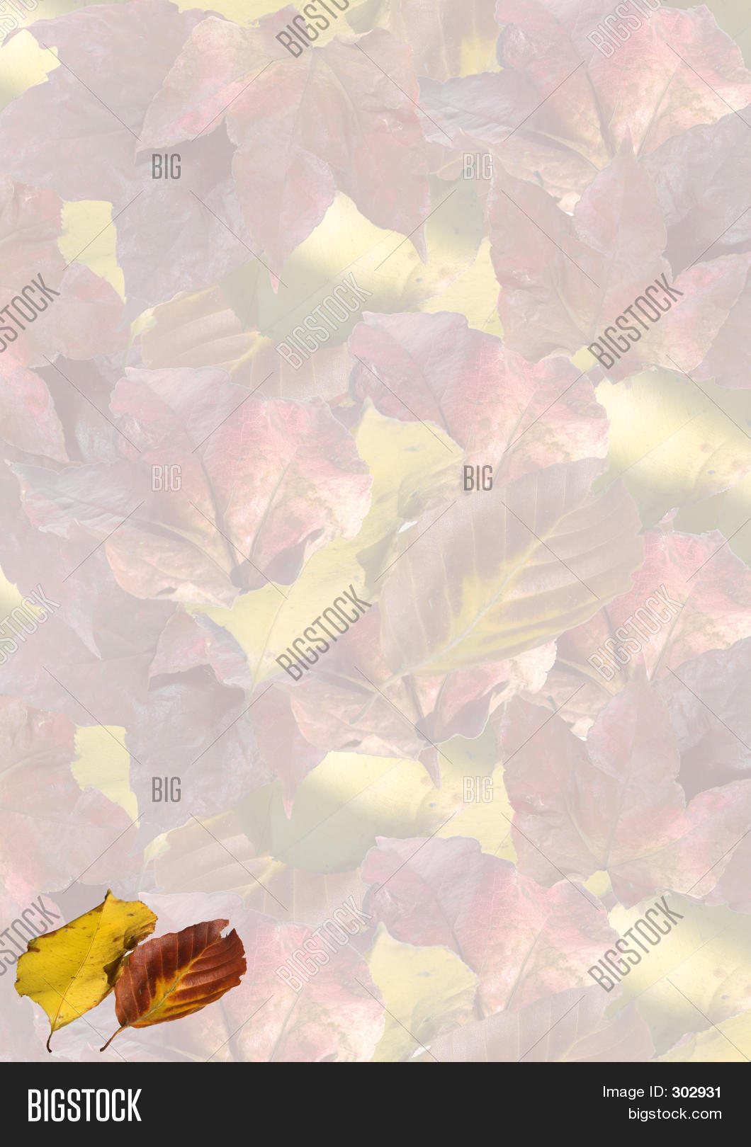 Autumn Leaves Image & Photo (Free Trial) | Bigstock