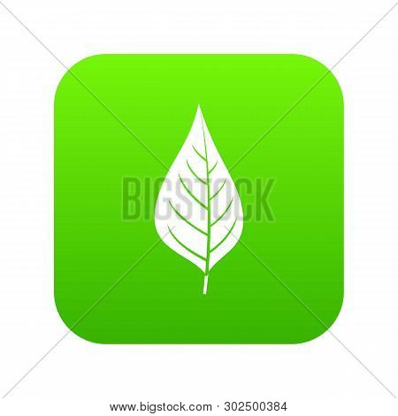 Apple Tree Leaf Icon Image & Photo (Free Trial) | Bigstock