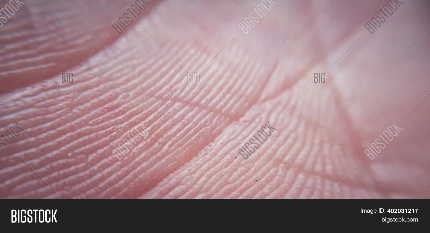 Super Macro Human Skin Image & Photo (Free Trial) | Bigstock