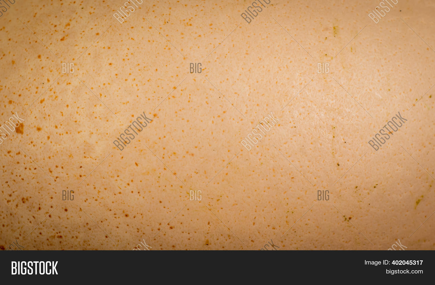 Brown Eggshell Visible Image & Photo (Free Trial) | Bigstock