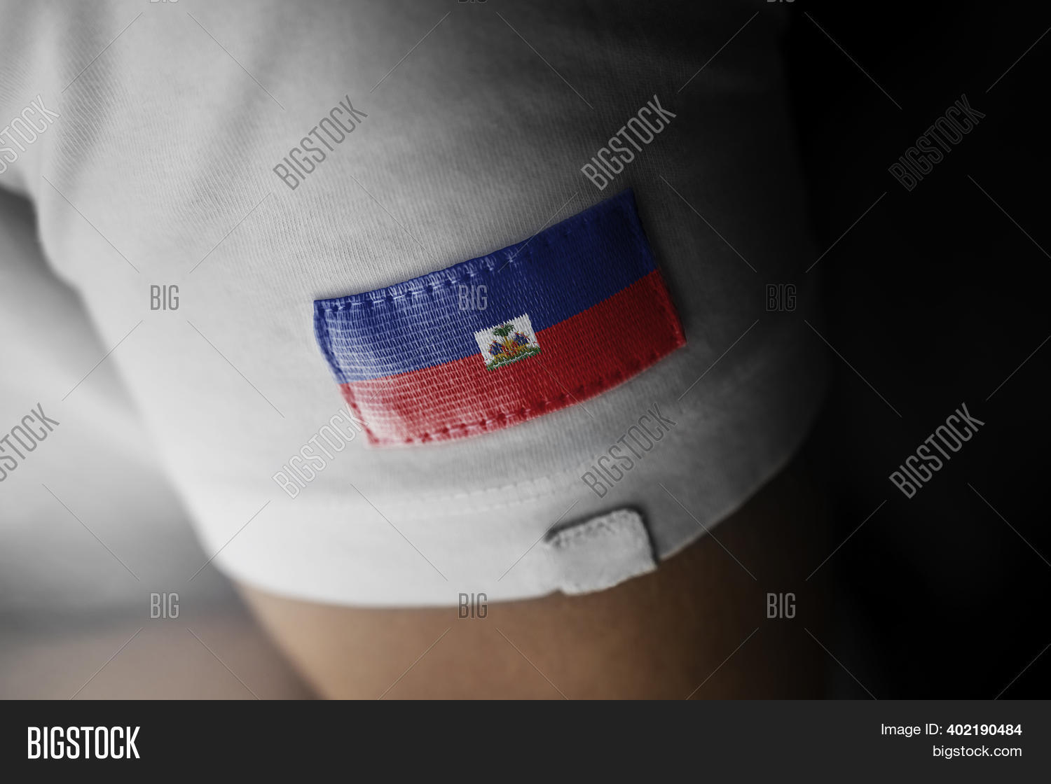 Patch National Flag Image & Photo (Free Trial) | Bigstock