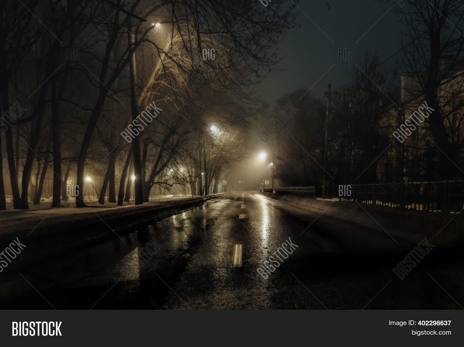 Foggy Misty Night Road Image & Photo (Free Trial) | Bigstock