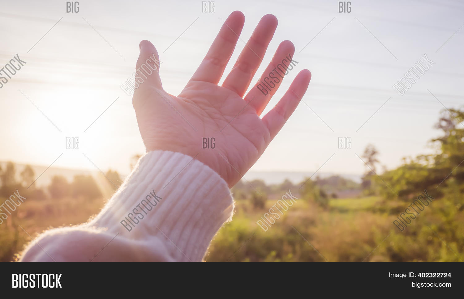 Soft Focus Woman Hand Image & Photo (Free Trial) | Bigstock
