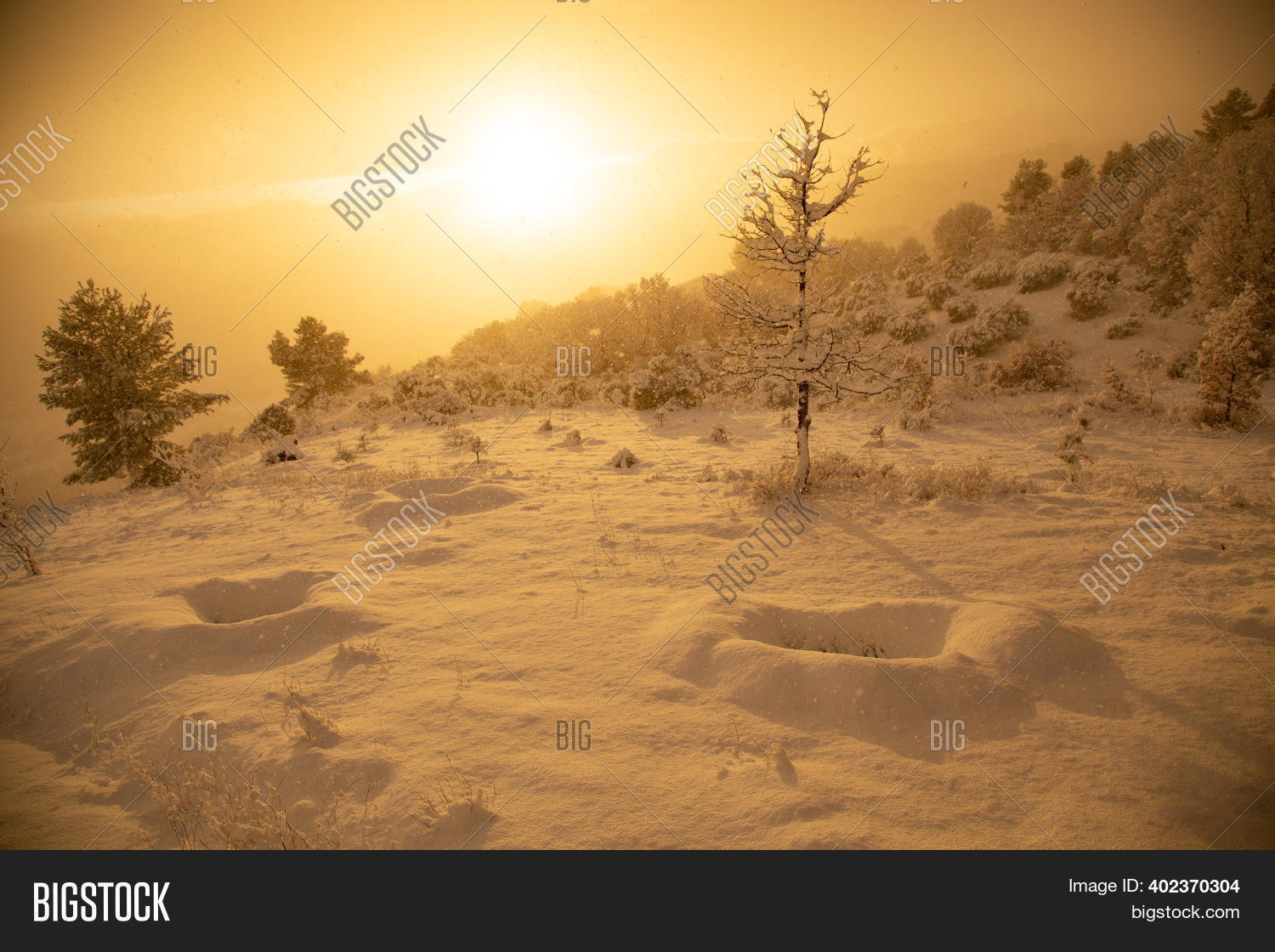 Golden Glow Over Snowy Image & Photo (Free Trial) | Bigstock