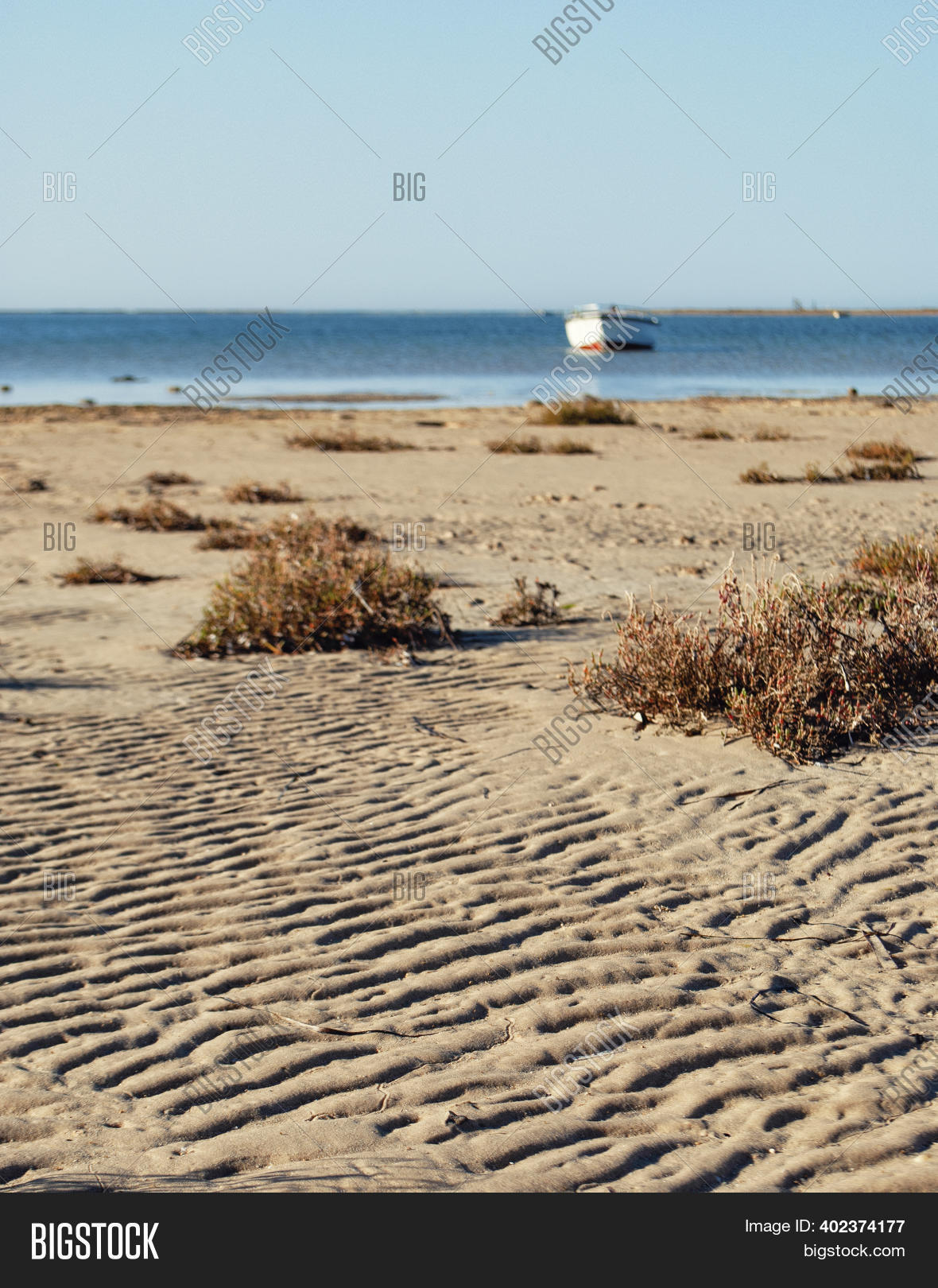 Water Trail Sand Low Image & Photo (Free Trial) | Bigstock