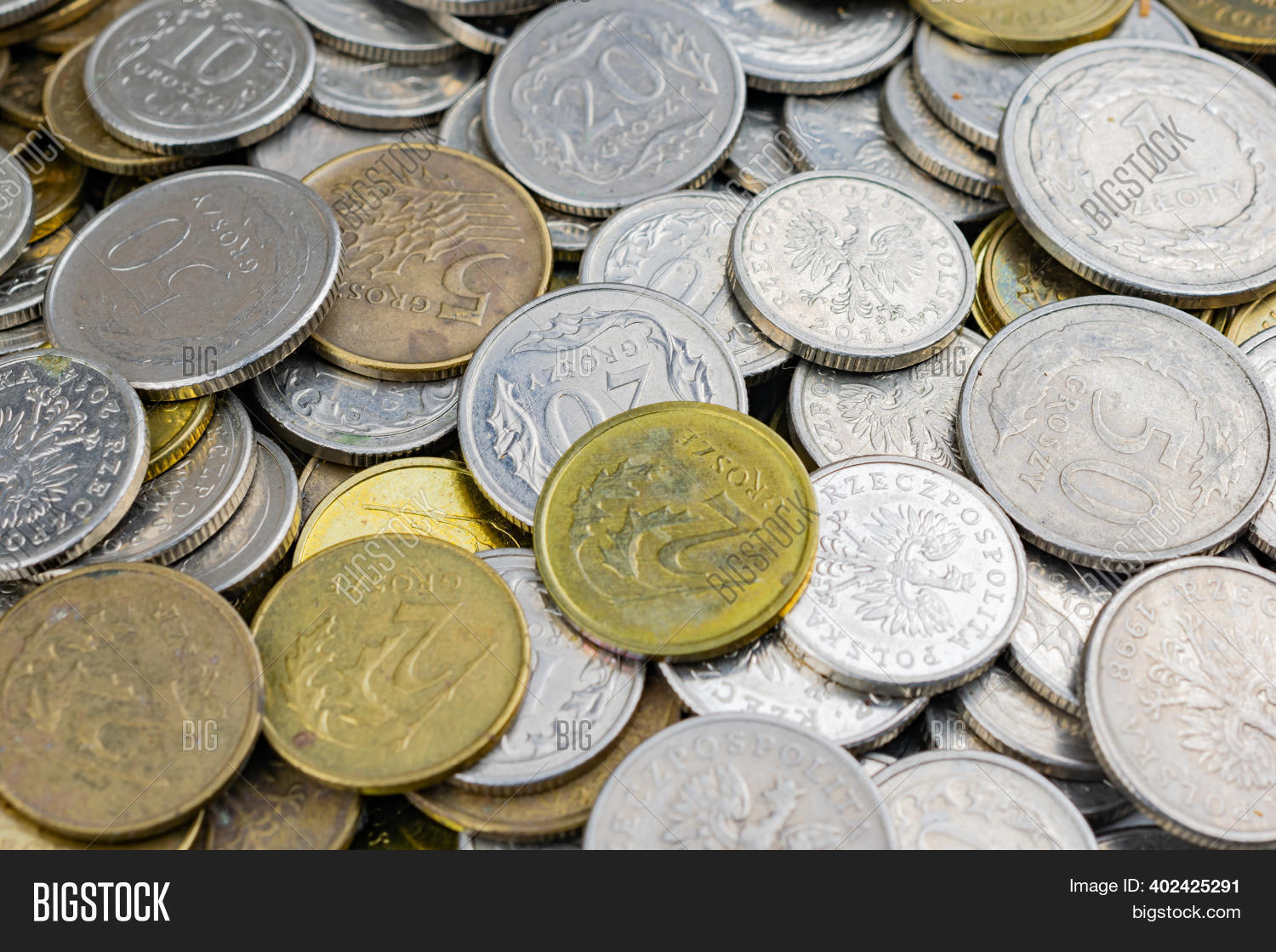 Polish Coin Macro Image & Photo (Free Trial) | Bigstock