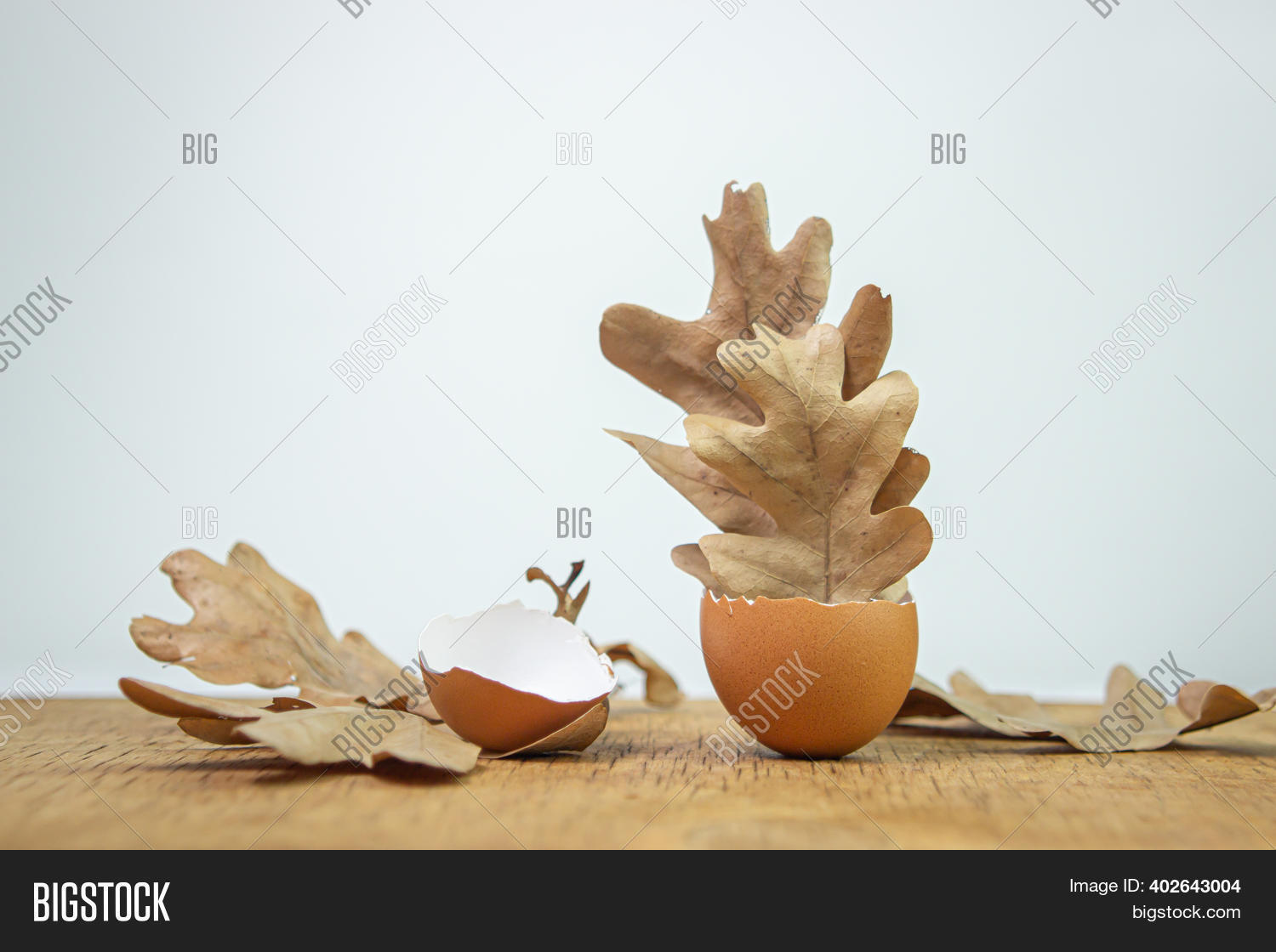 Autumn Leaves Eggshell Image & Photo (Free Trial) | Bigstock