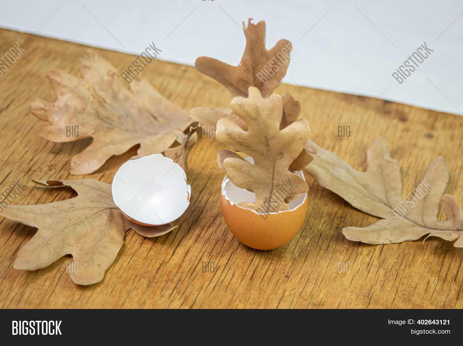 Autumn Leaves Eggshell Image & Photo (Free Trial) | Bigstock