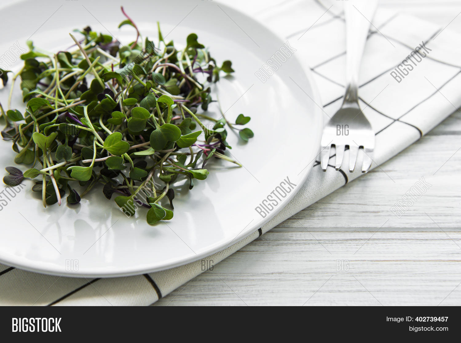 Micro Greens Plate On Image & Photo (Free Trial) | Bigstock
