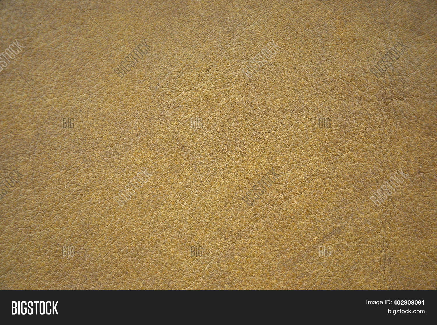 Seamless Brown Leather Image & Photo (Free Trial) | Bigstock
