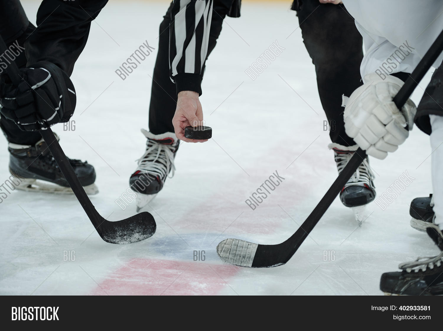 Imagen y foto Hand Referee (prueba gratis) | Bigstock