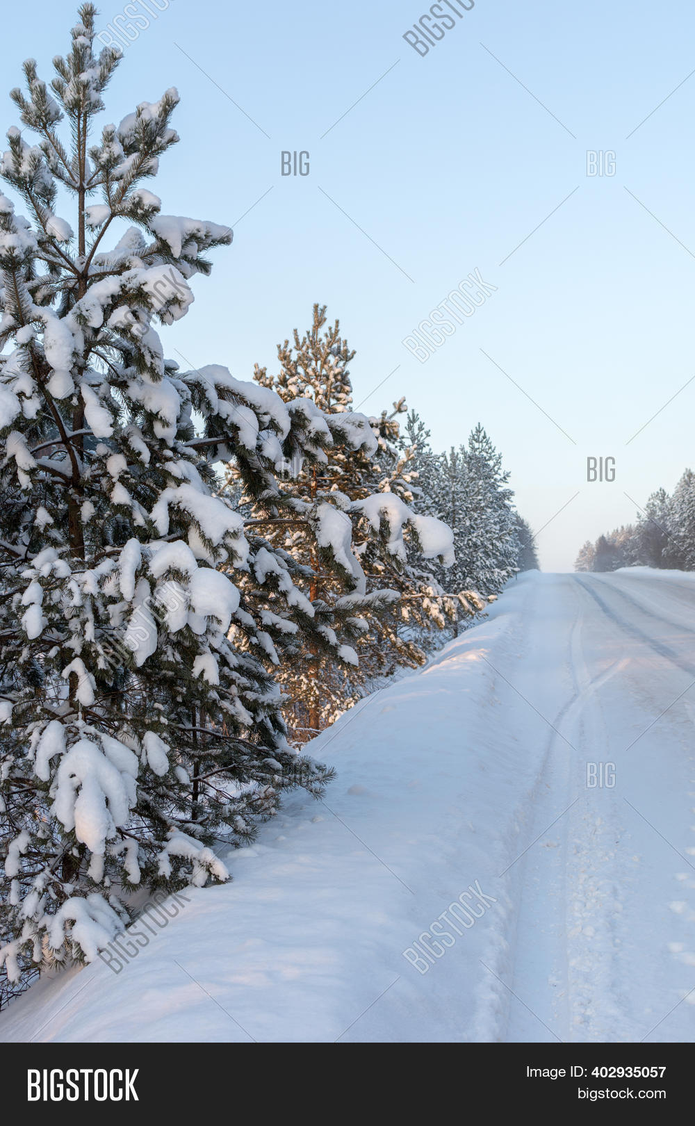 Trees Snow Along Road Image & Photo (Free Trial) | Bigstock