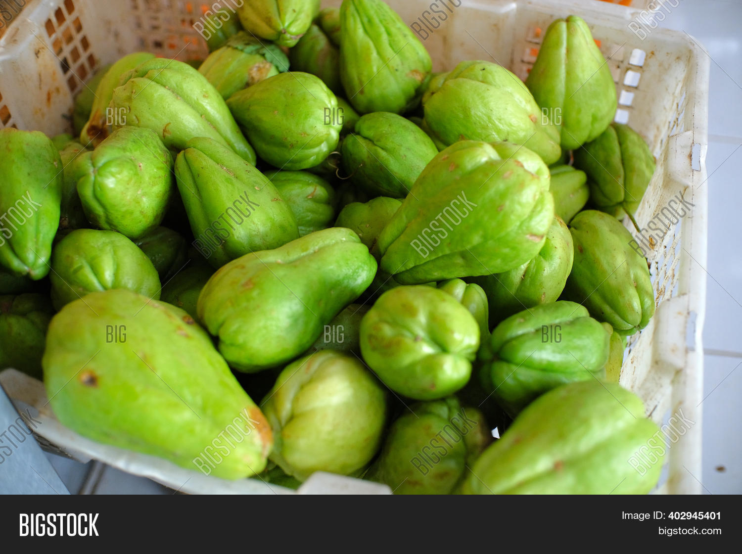 Chayote (sechium Edule Image & Photo (Free Trial) | Bigstock