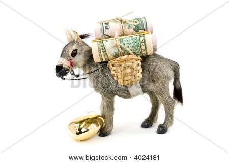 Donkey Big Money Image & Photo (Free Trial) | Bigstock