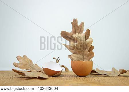 Autumn Leaves Eggshell Image & Photo (Free Trial) | Bigstock