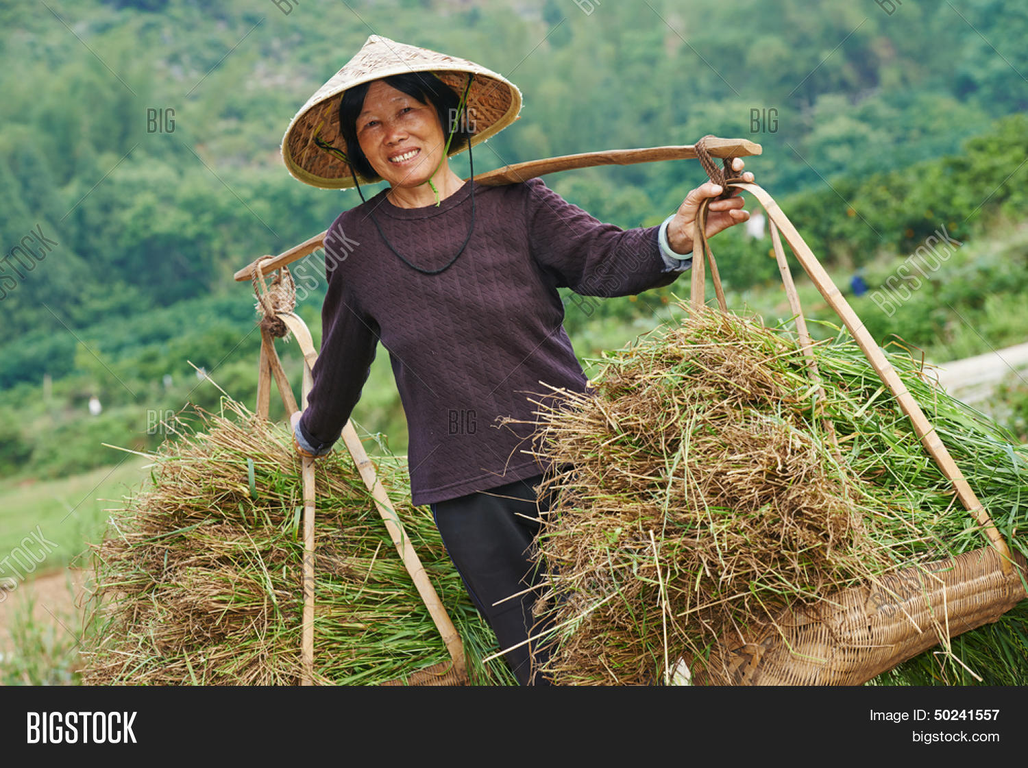 Chinese Asian Woman Image & Photo (Free Trial) | Bigstock