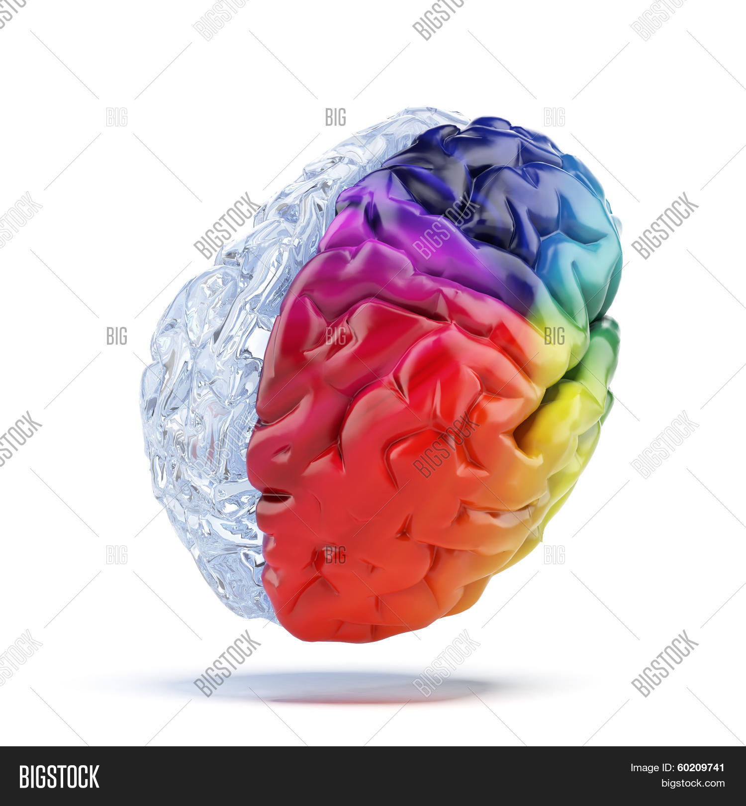 Colored Brain Image & Photo (Free Trial) | Bigstock