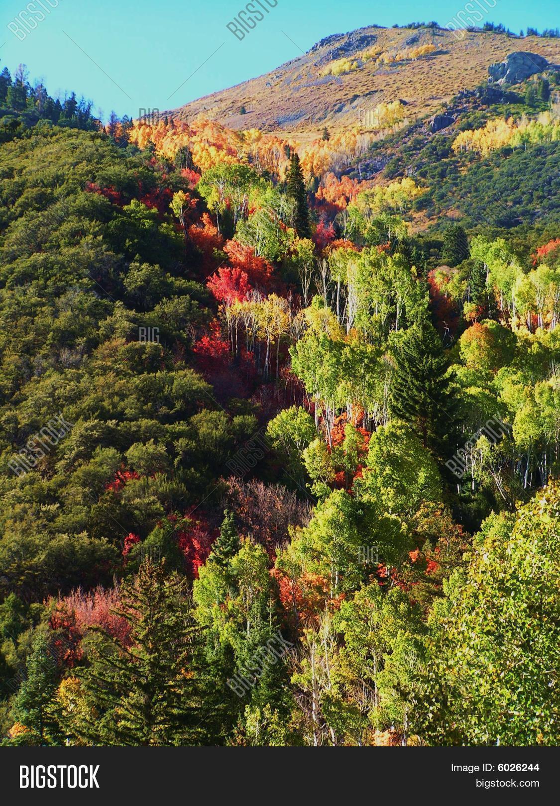 Mountain Ravine Image & Photo (Free Trial) | Bigstock