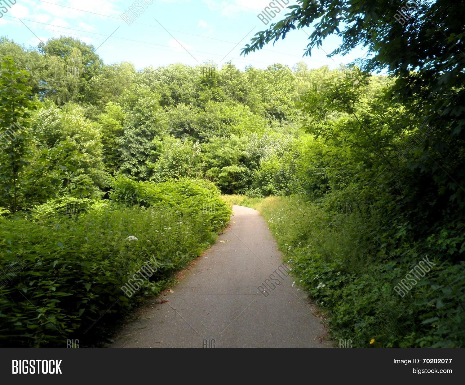 Beautiful Green Trail Image & Photo (Free Trial) | Bigstock