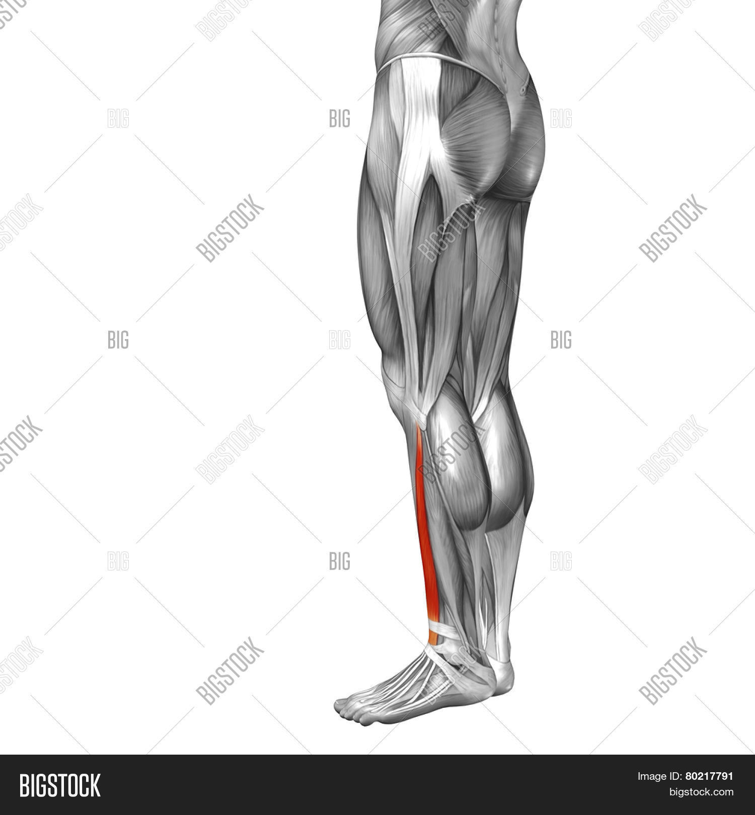 Concept Conceptual 3D Image & Photo (Free Trial) | Bigstock