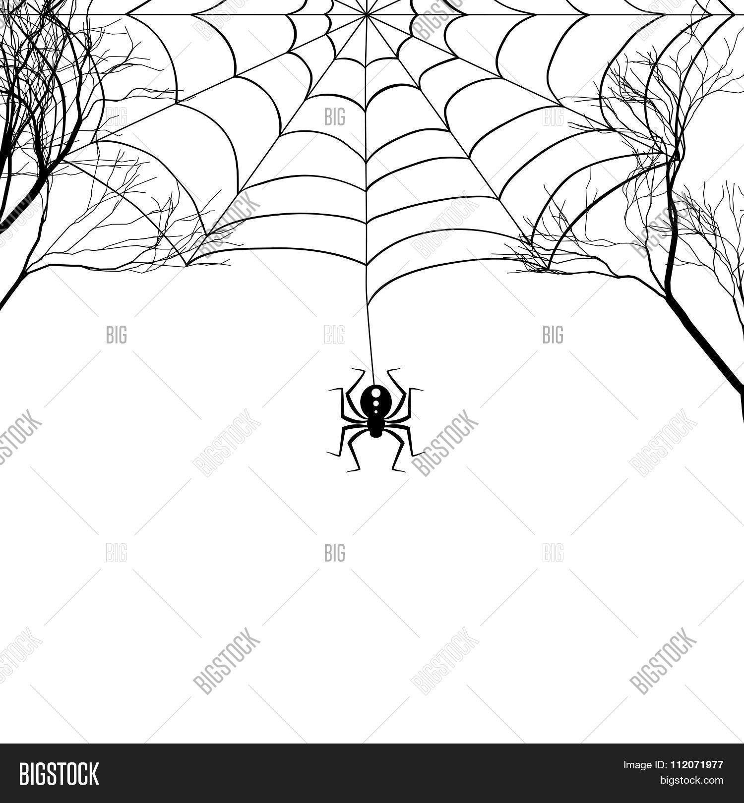 Cobweb Between Tree Vector & Photo (Free Trial) | Bigstock